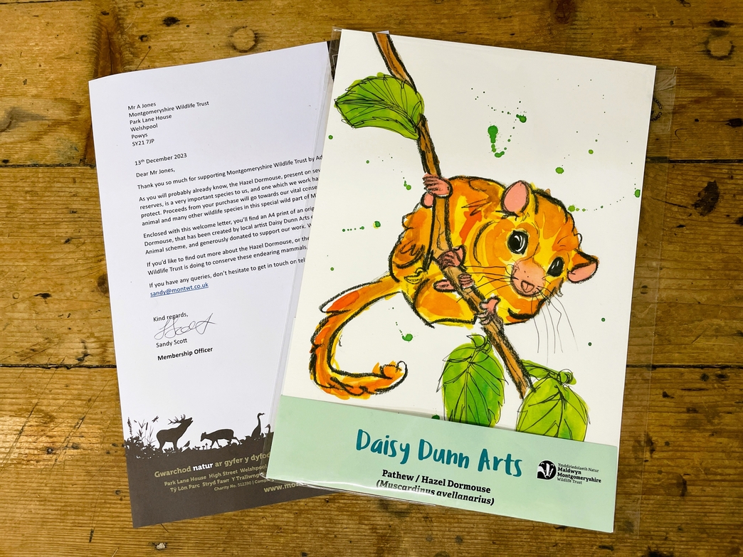 Adopt an Animal | Montgomeryshire Wildlife Trust